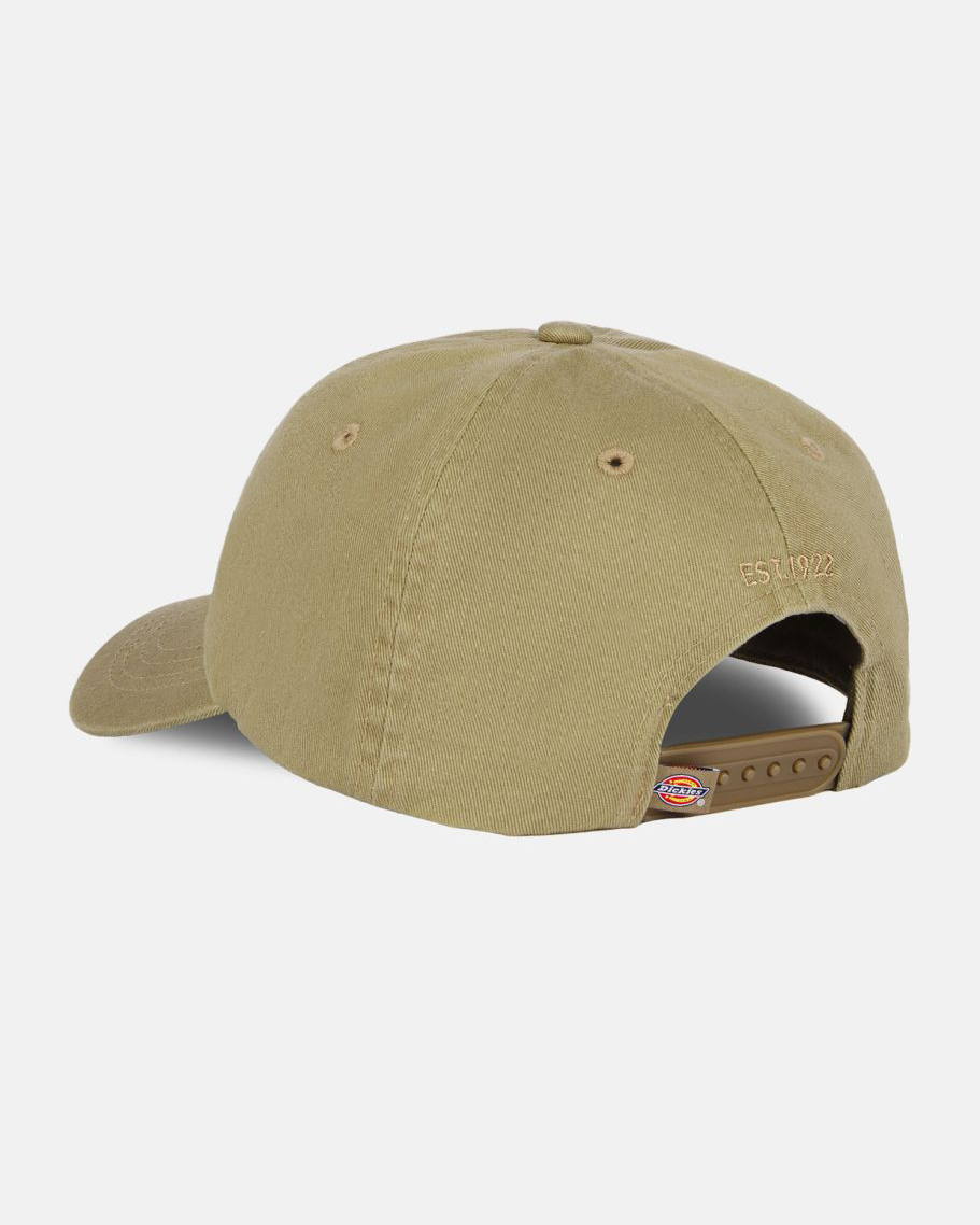 The Dickies Hardwick Baseball Cap in Green | Anns Cottage – Ann's Cottage
