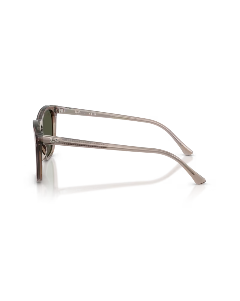 The Ray-Ban RB2210 Sunglasses in Brown | Anns Cottage – Ann's Cottage